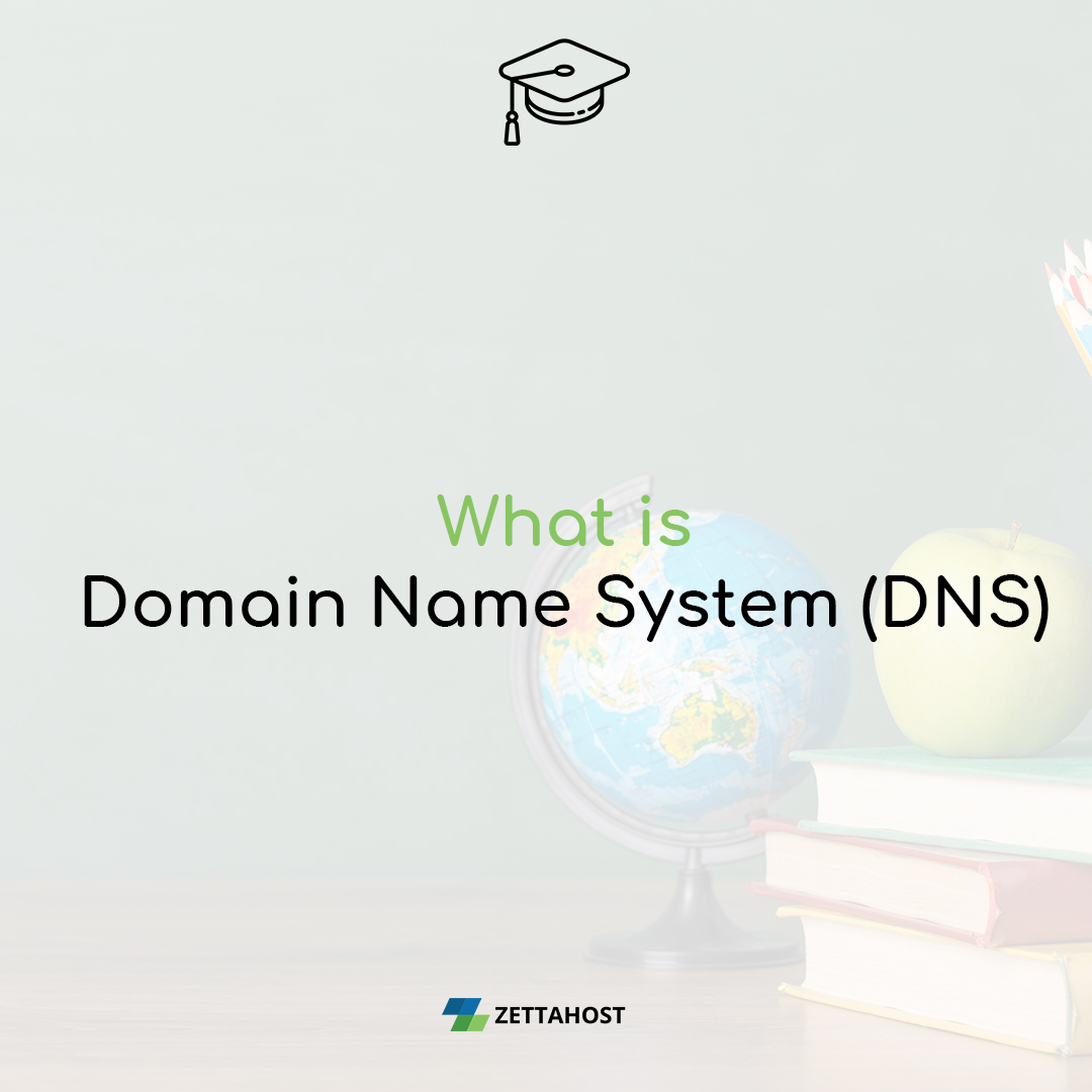 Domain Name System (DNS) | Hosting Encyclopedia | ZETTAHOST.com