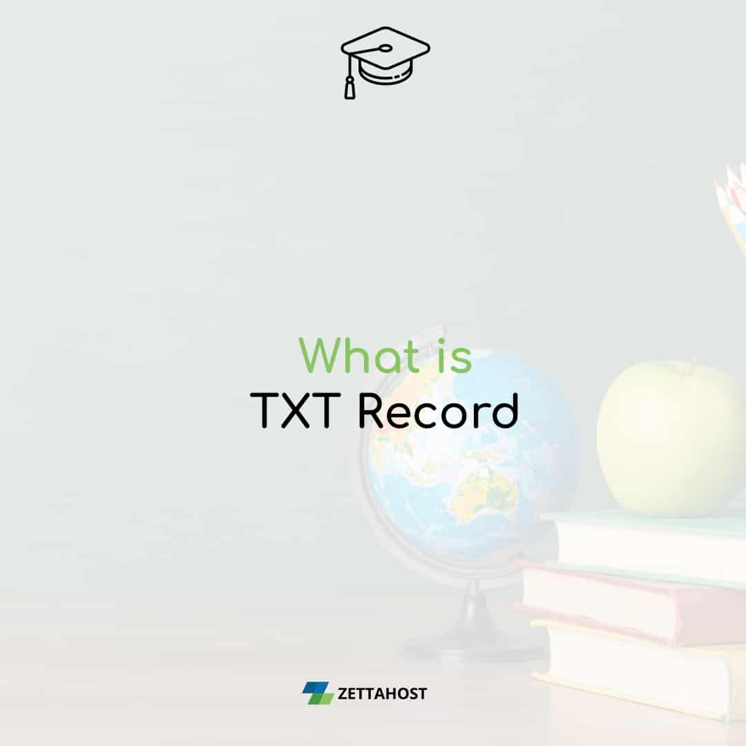 TXT Record | Hosting Encyclopedia | ZETTAHOST.com