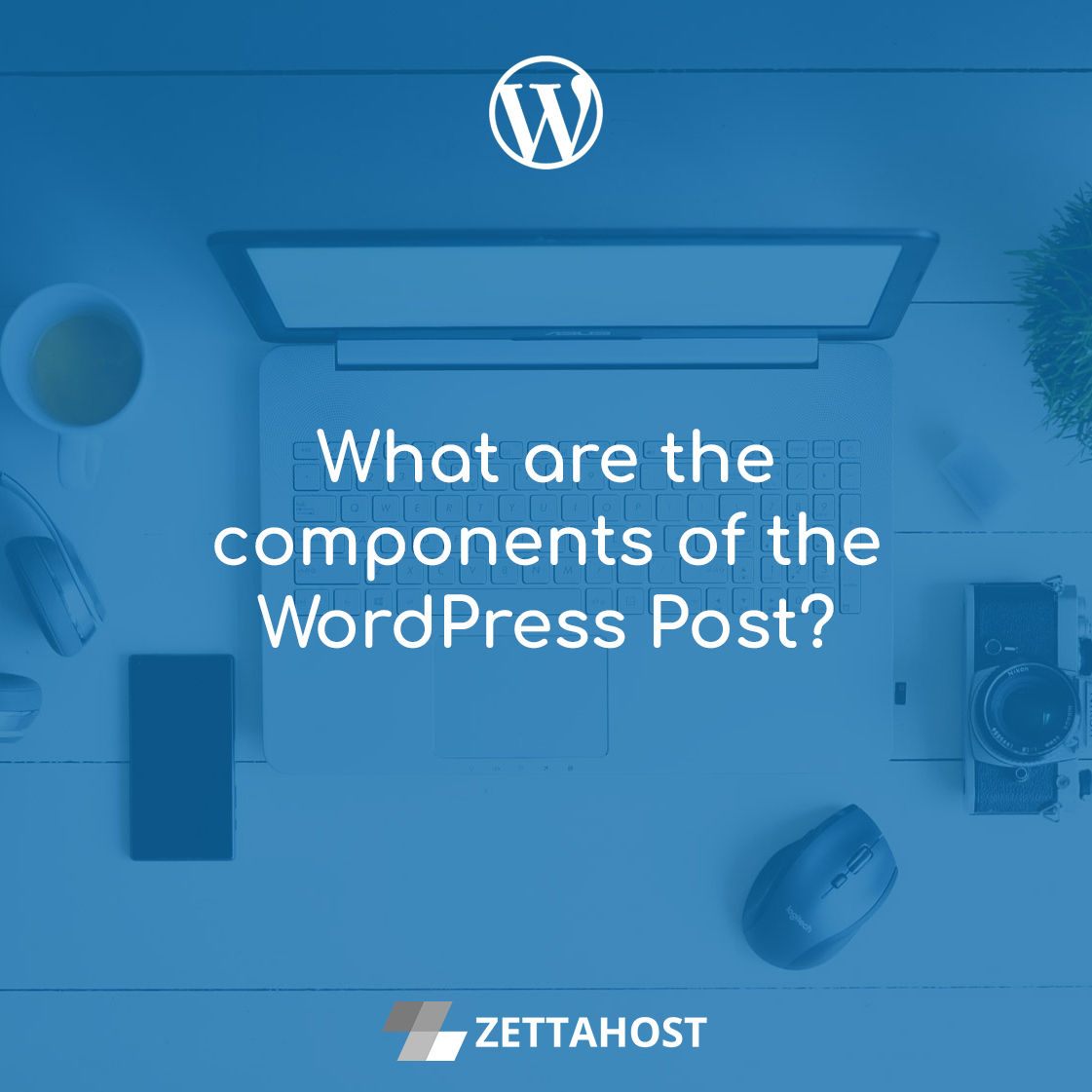 What are the Components of the WordPress Posts? - ZETTAHOST.com