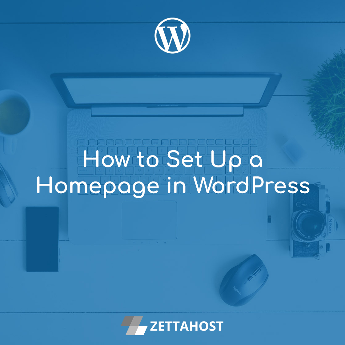 How to Set Up a Homepage in WordPress - ZETTAHOST.com