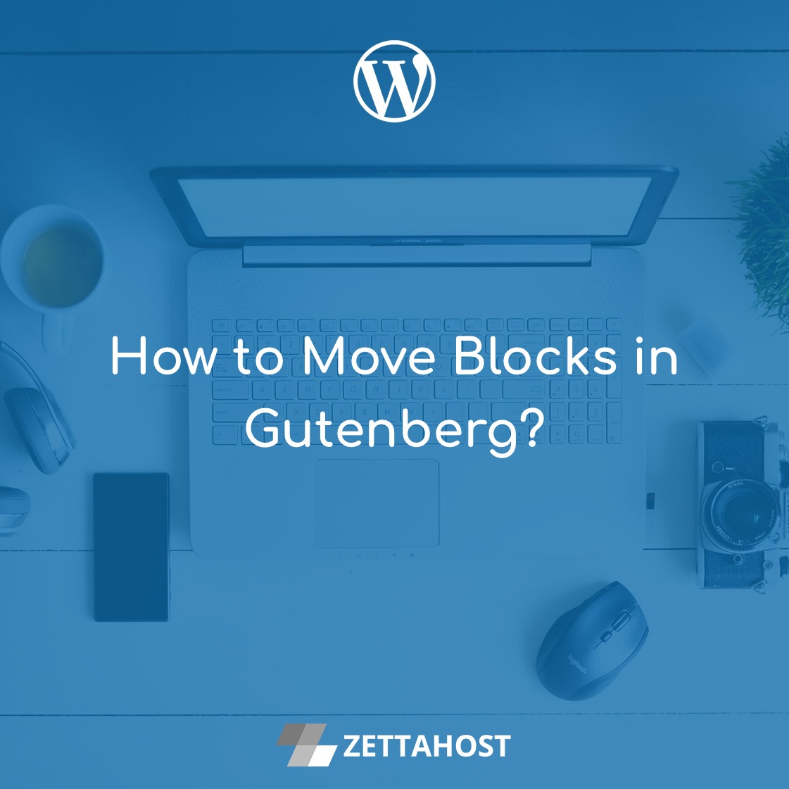 How to Move Blocks in Gutenberg? | ZETTAHOST.com