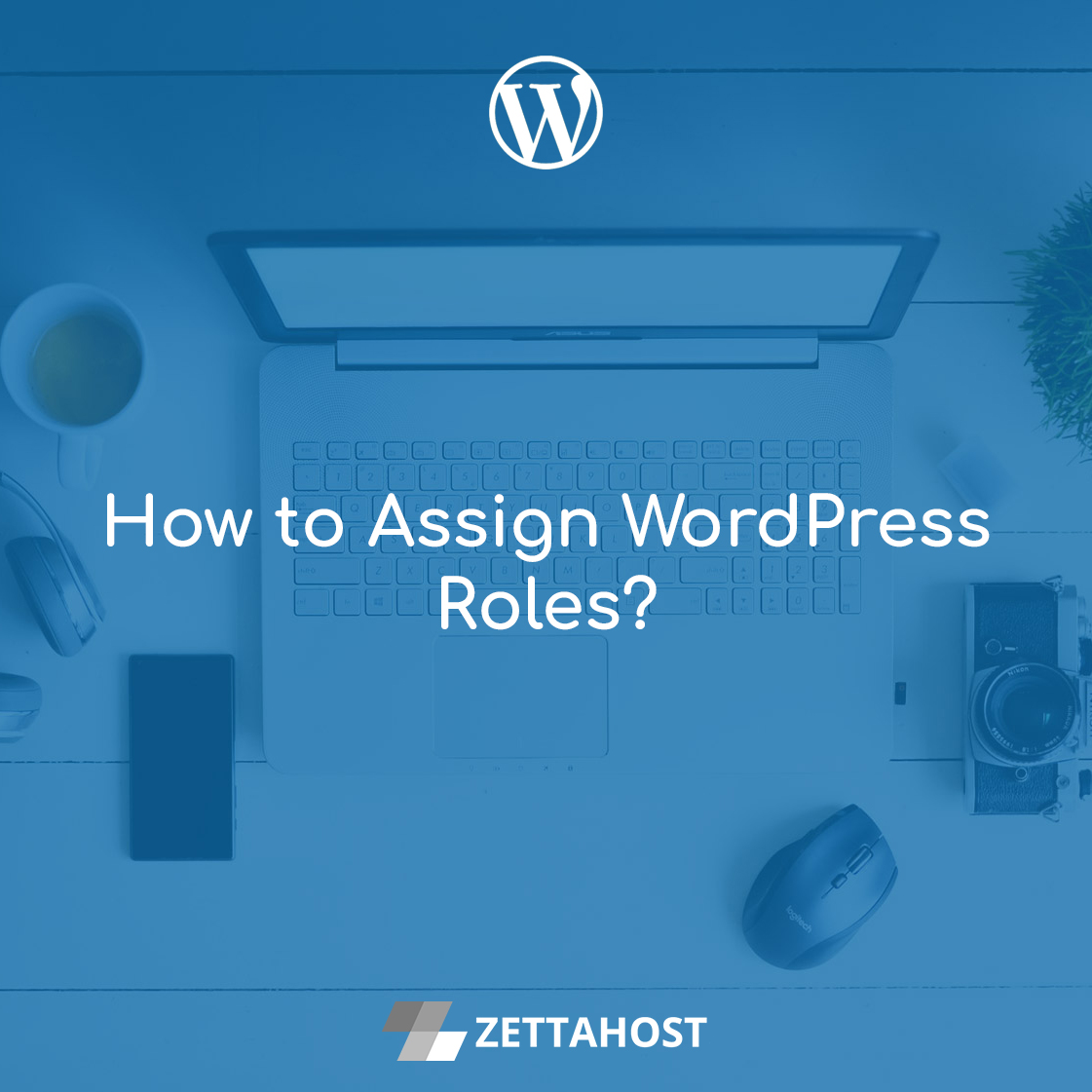 How to Assign WordPress Roles? - Free Hosting - ZETTAHOST.com