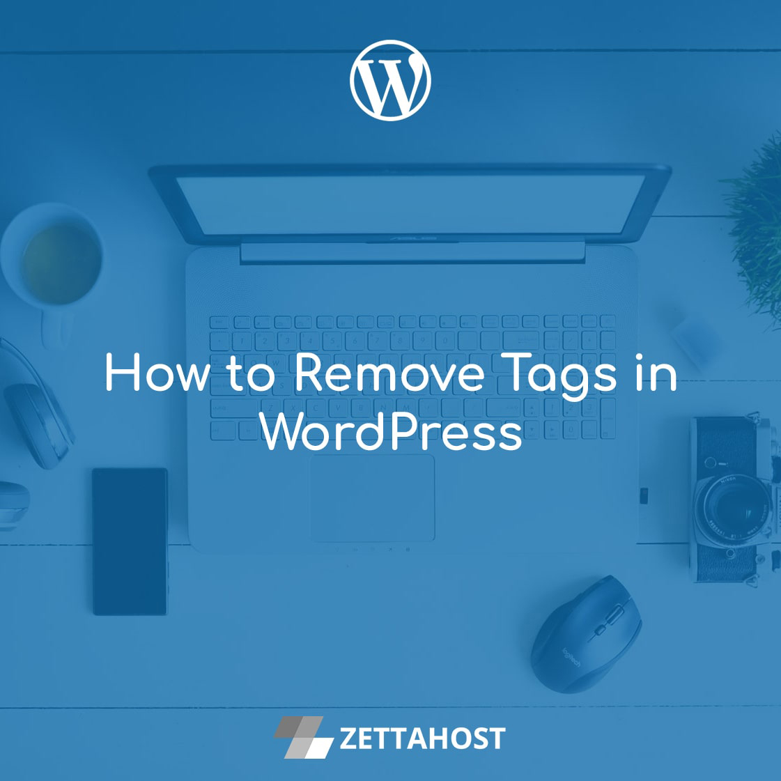 How To Remove Tags In WordPress Free Hosting ZETTAHOST