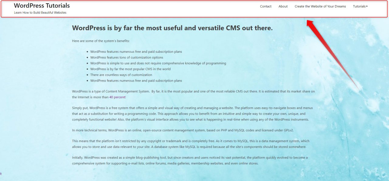 Create a WordPress Website - The Ultimate Guide (2023) | ZETTAHOST