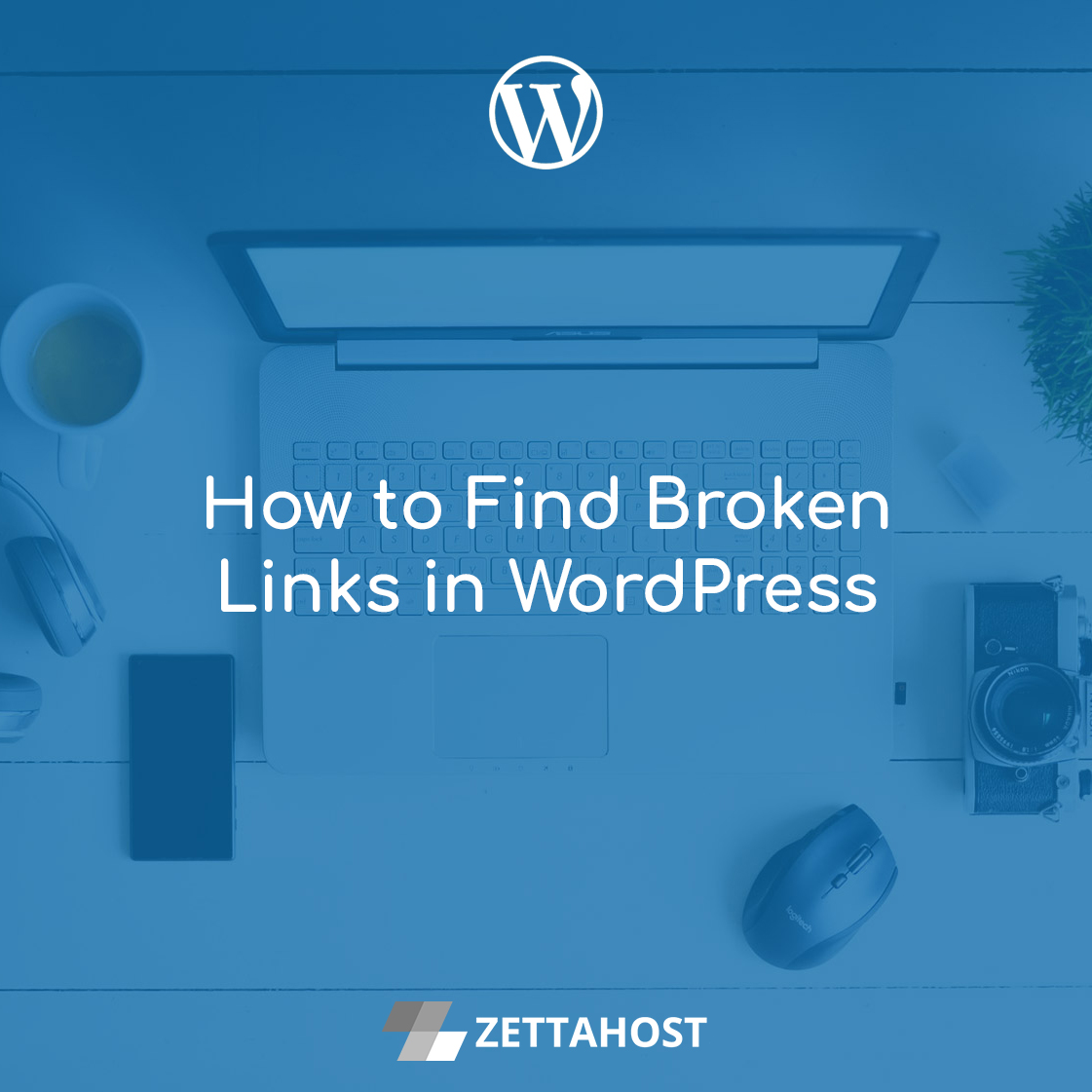 How To Find Broken Links In WordPress Free Hosting ZETTAHOST