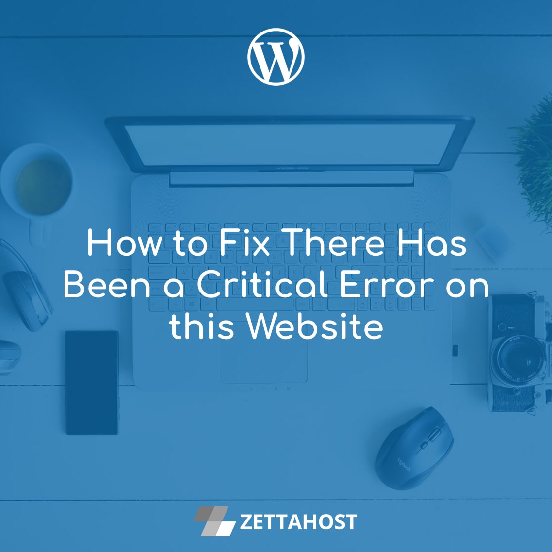 There Has Been a Critical Error on This Website - ZETTAHOST.com