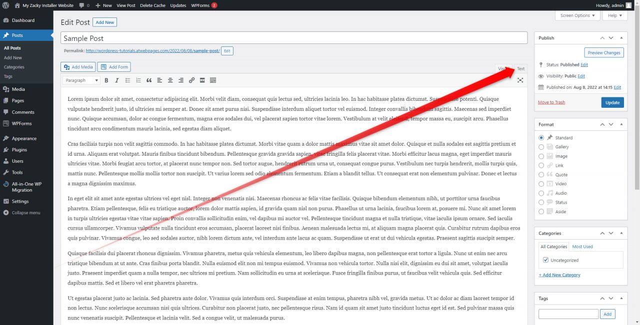 How to Use the WordPress Text Editor - ZETTAHOST.com