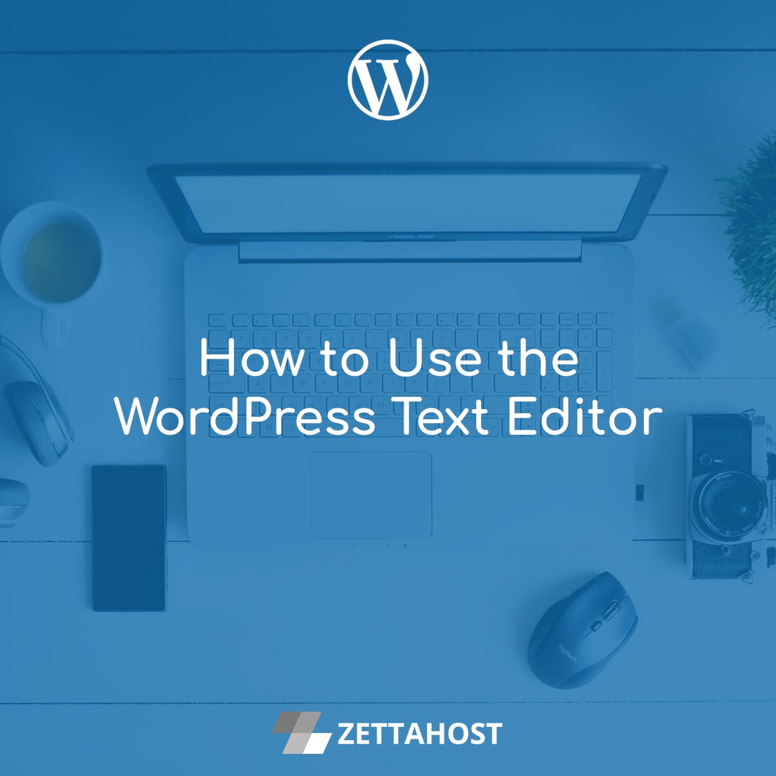 How to Use the WordPress Text Editor - ZETTAHOST.com