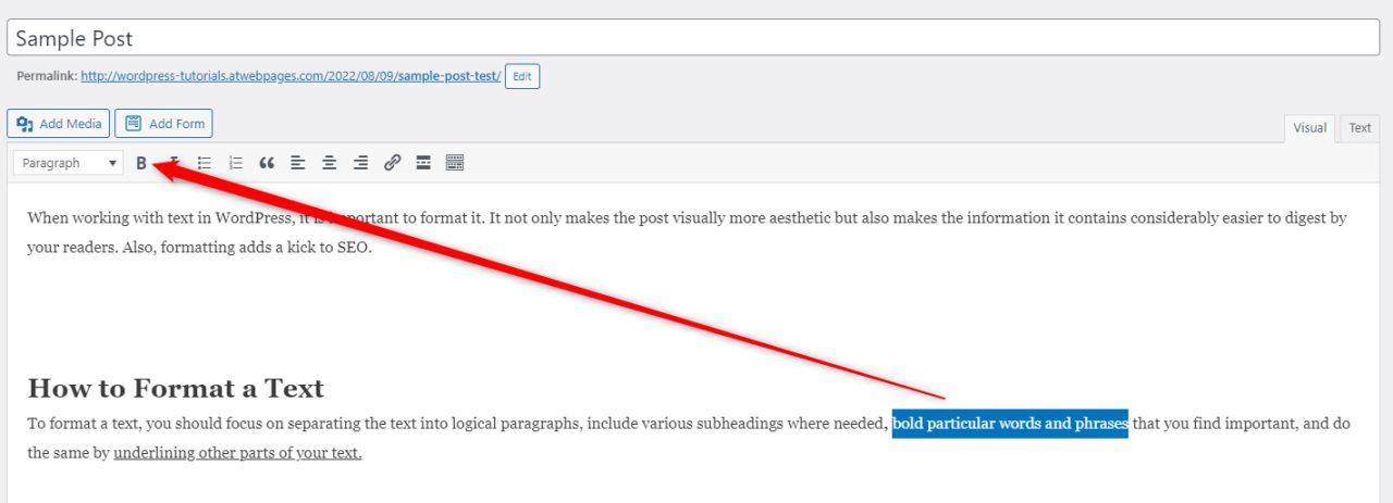 How to Format Text in WordPress - ZETTAHOST.com