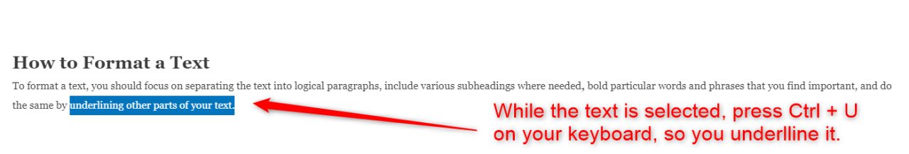How to Format Text in WordPress - ZETTAHOST.com