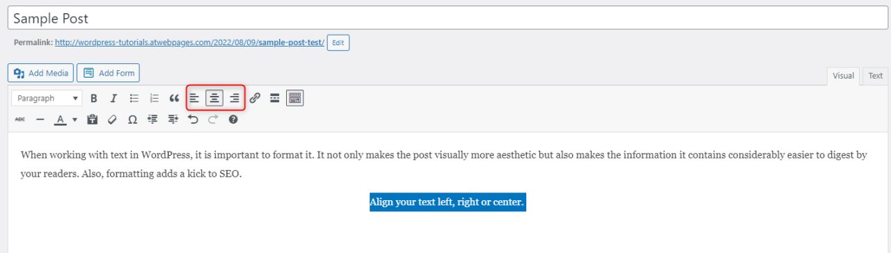 How to Format Text in WordPress - ZETTAHOST.com