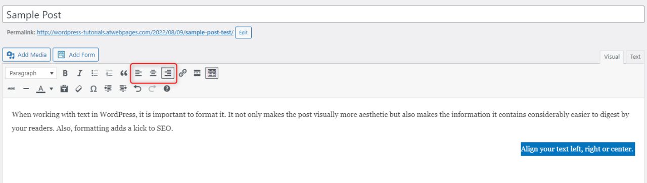 How to Format Text in WordPress - ZETTAHOST.com