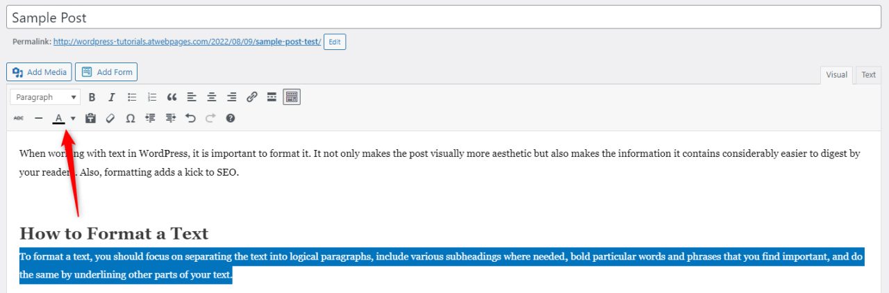 How to Format Text in WordPress - ZETTAHOST.com