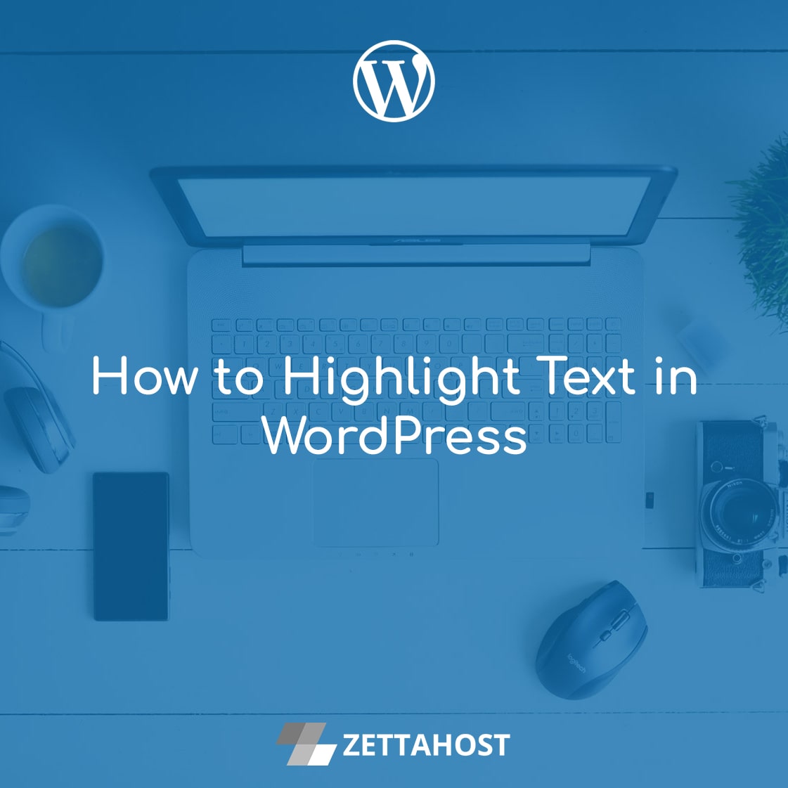 How to Highlight Text in WordPress - Free Hosting - ZETTAHOST.com